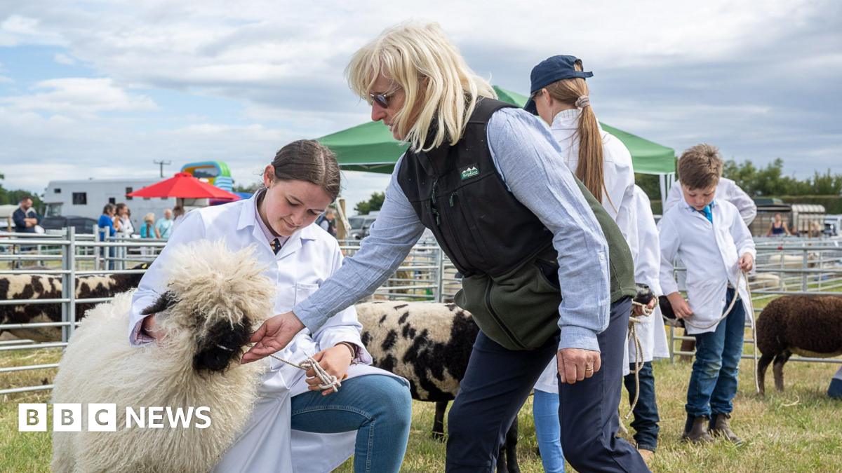 Tockwith Show to return for 2025 after being cancelled this year - BBC News