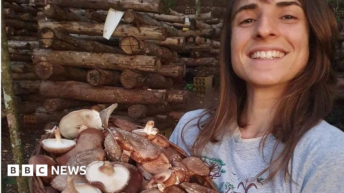 COP28: UN climate talks take aim at planet-warming food - BBC News