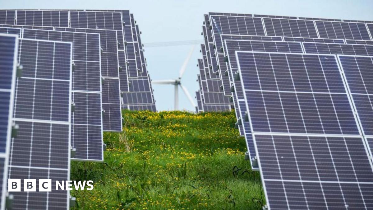 Anglesey council backs review of controversial solar farm plans - BBC News