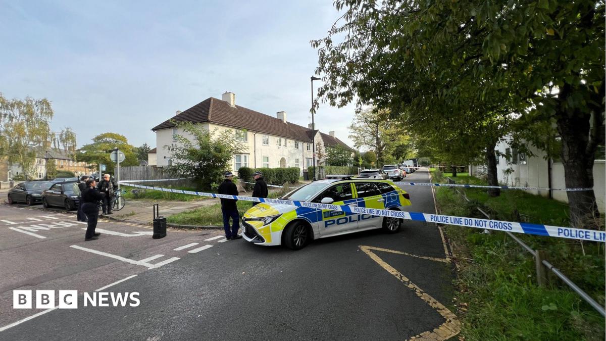 Tottenham: Man arrested over fatal shooting in north London - BBC News