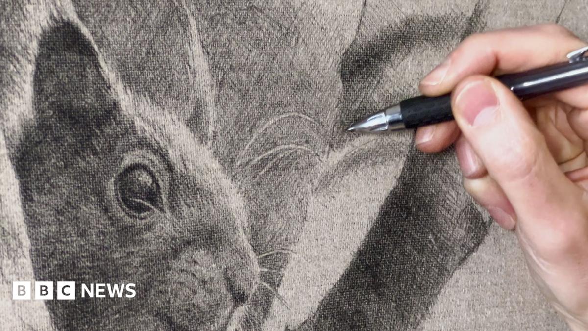 Hampshire artist draws British wildlife with a ballpoint pen - BBC News