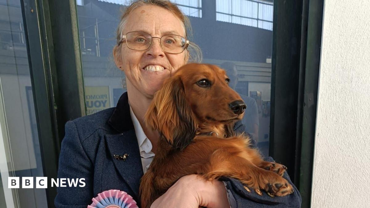 Dog show rookie from Wells to go to compete at Crufts - BBC News