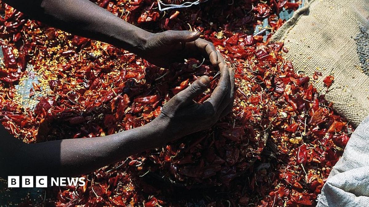 Africa Live this week: 9-15 January 2023 - BBC News