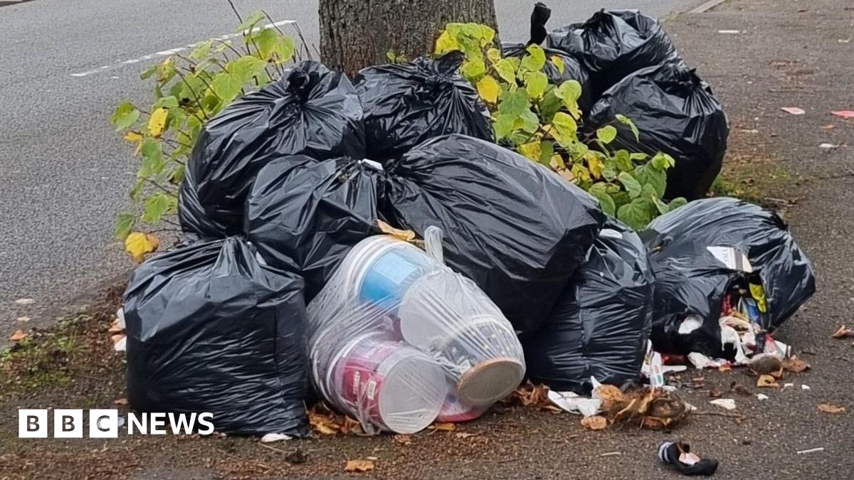 Birmingham residents concerned by 'poor' bin collection service - BBC News