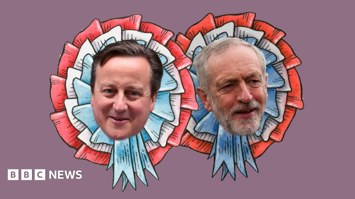 The weird world of politics in 2015 - BBC News