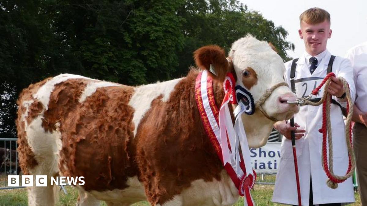 Stock handling: 'I just completely fell in love with it' - BBC News