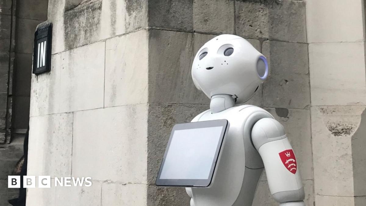 Take me to your leader! MPs to quiz robot - BBC News