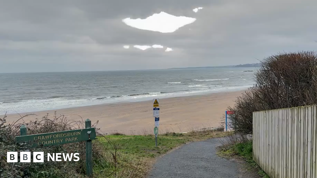 Helen's Bay: Eyewitnesses describe desperate rescue attempts - BBC News