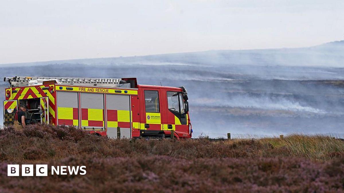 Expert fears for wildlife as North York Moors fire continues - BBC News