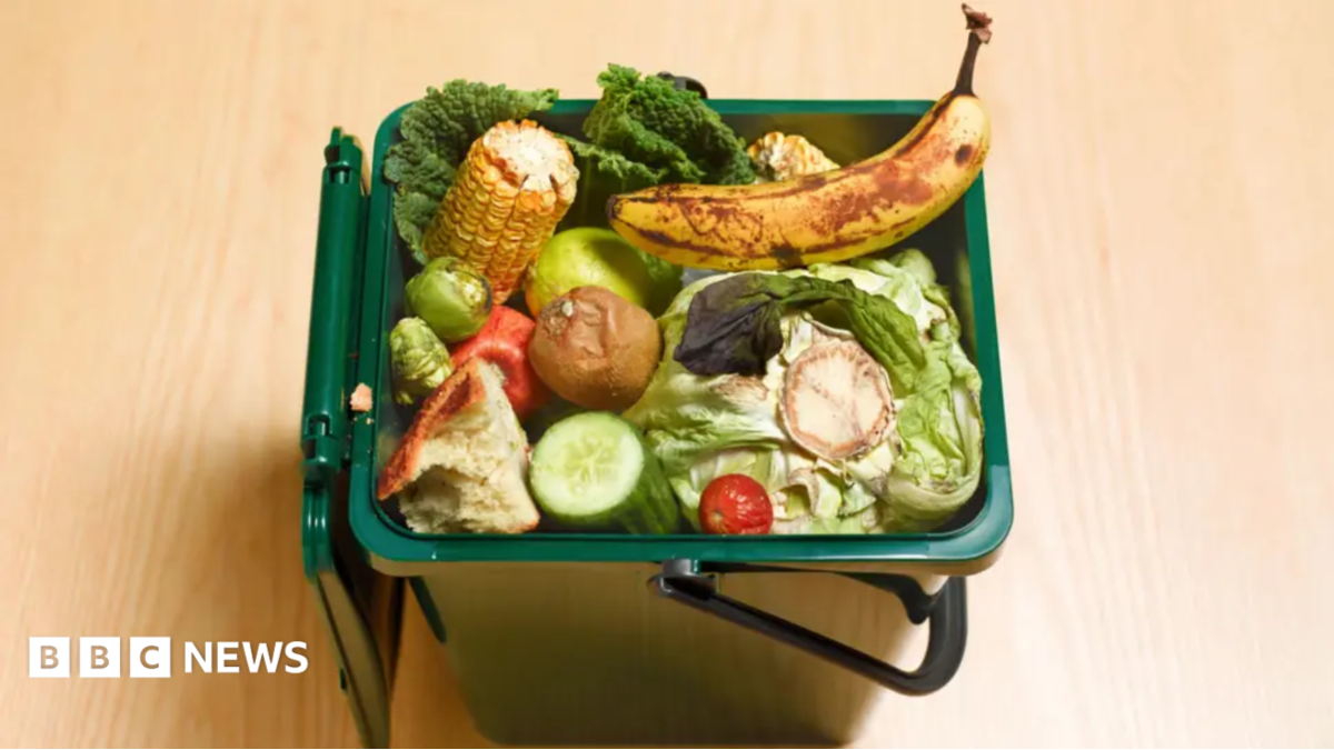 Melton Borough Council to introduce weekly food waste collections - BBC ...