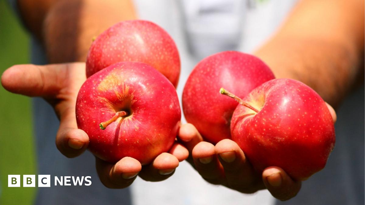 Why you may not get Kashmir's famed apples easily - BBC News