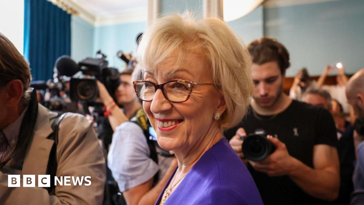 What makes a politician decide to not stand again? - BBC News