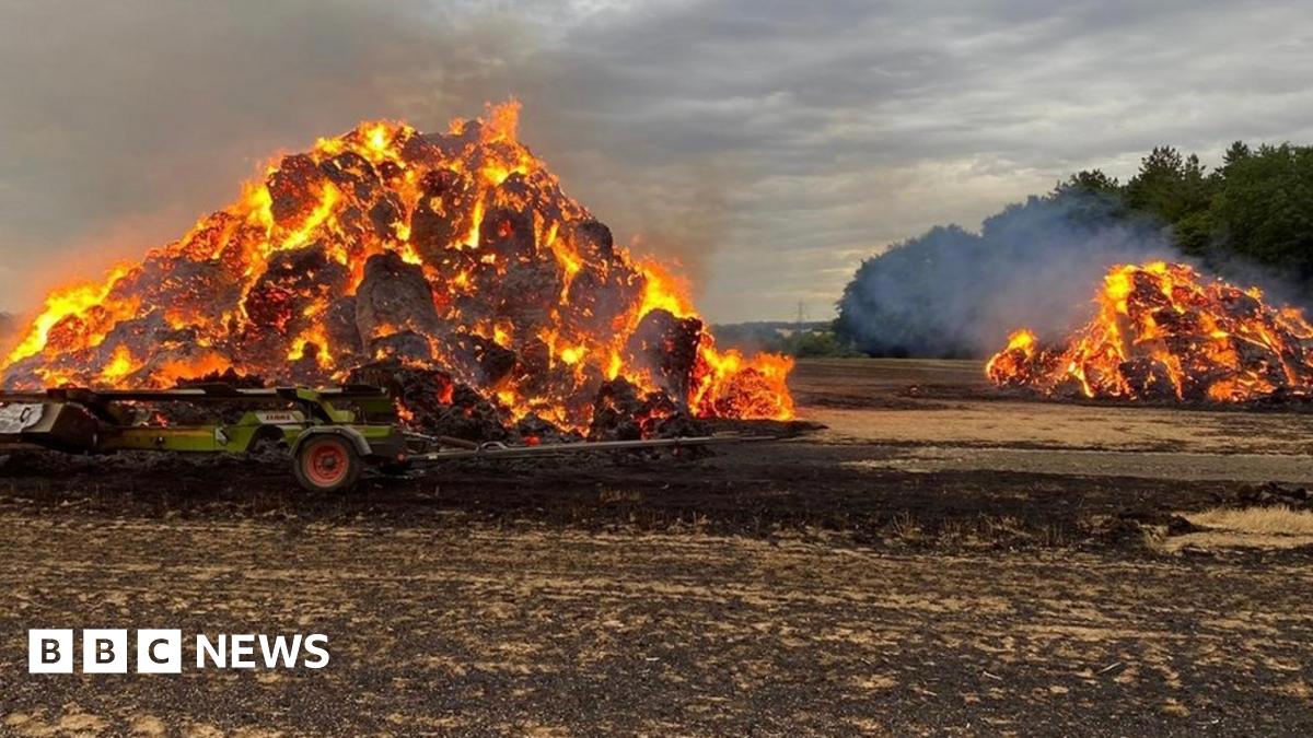 Essex fire crews tackle three large field fires - BBC News