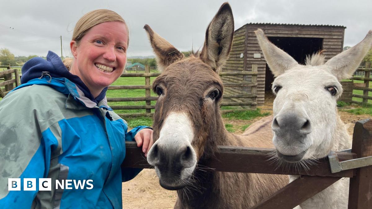 Farm Animal Sanctuary in Evesham appeals for funds to buy site - BBC News