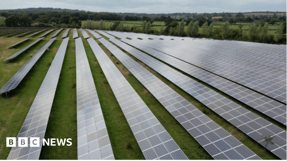 Swaffham solar farm frustrated by 'zombie project' delays - BBC News
