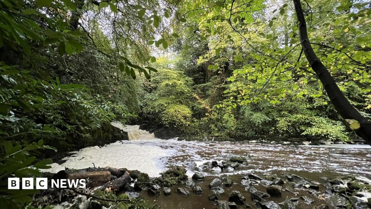 Crumlin River: Anglers concerned about fish kill - BBC News
