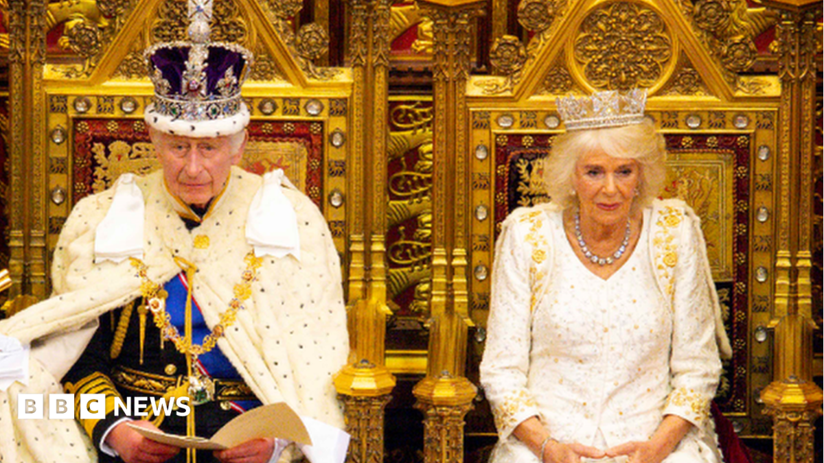 King's Speech 2023: What was in King Charles III's speech? - BBC News