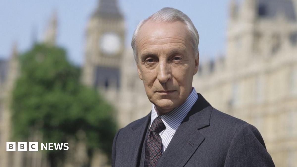 What are whips and are MPs scared of them? - BBC News