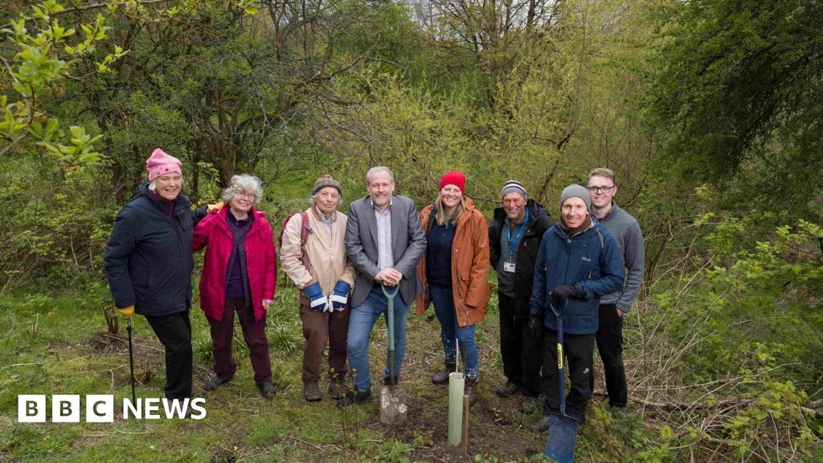 New County Durham forest networks created in £820k project - BBC News