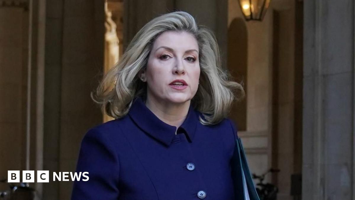 Dame Penny Mordaunt stalker Edward Brandt jailed - BBC News