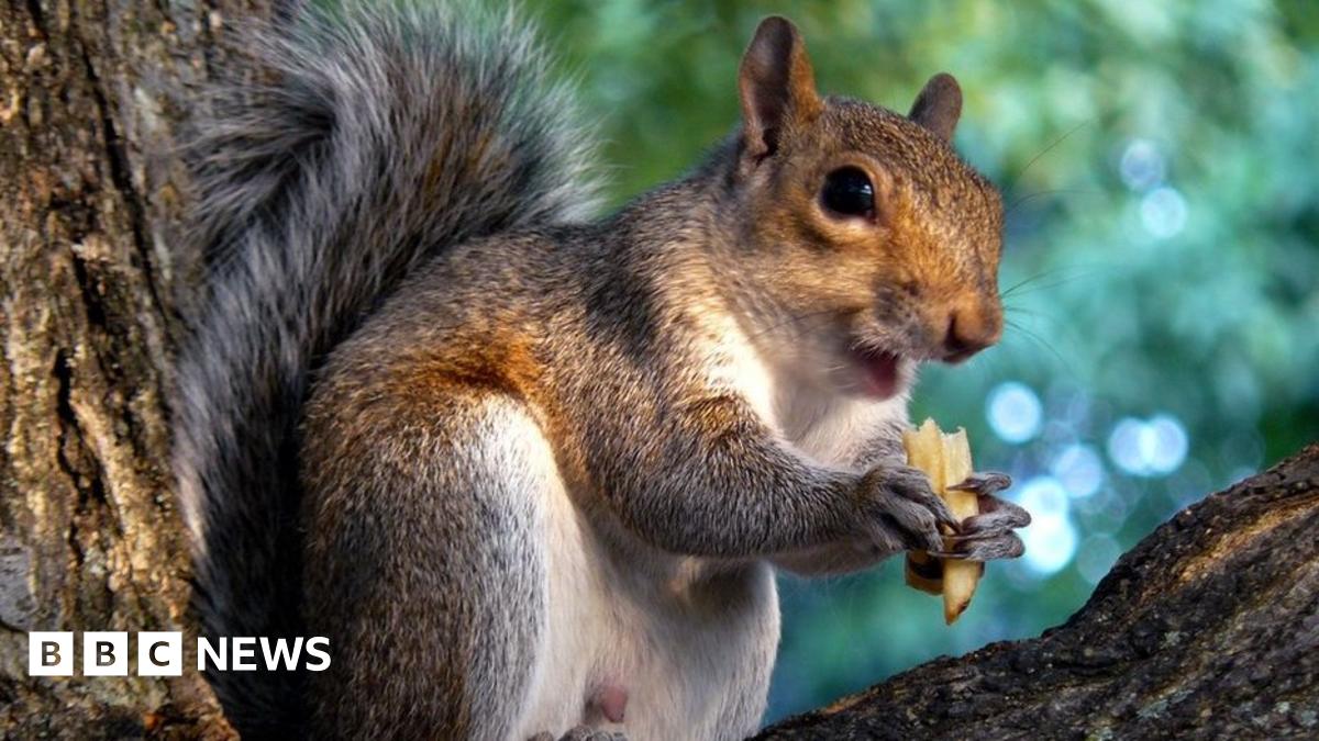 Your pictures on the theme of 'lunchtime' - BBC News