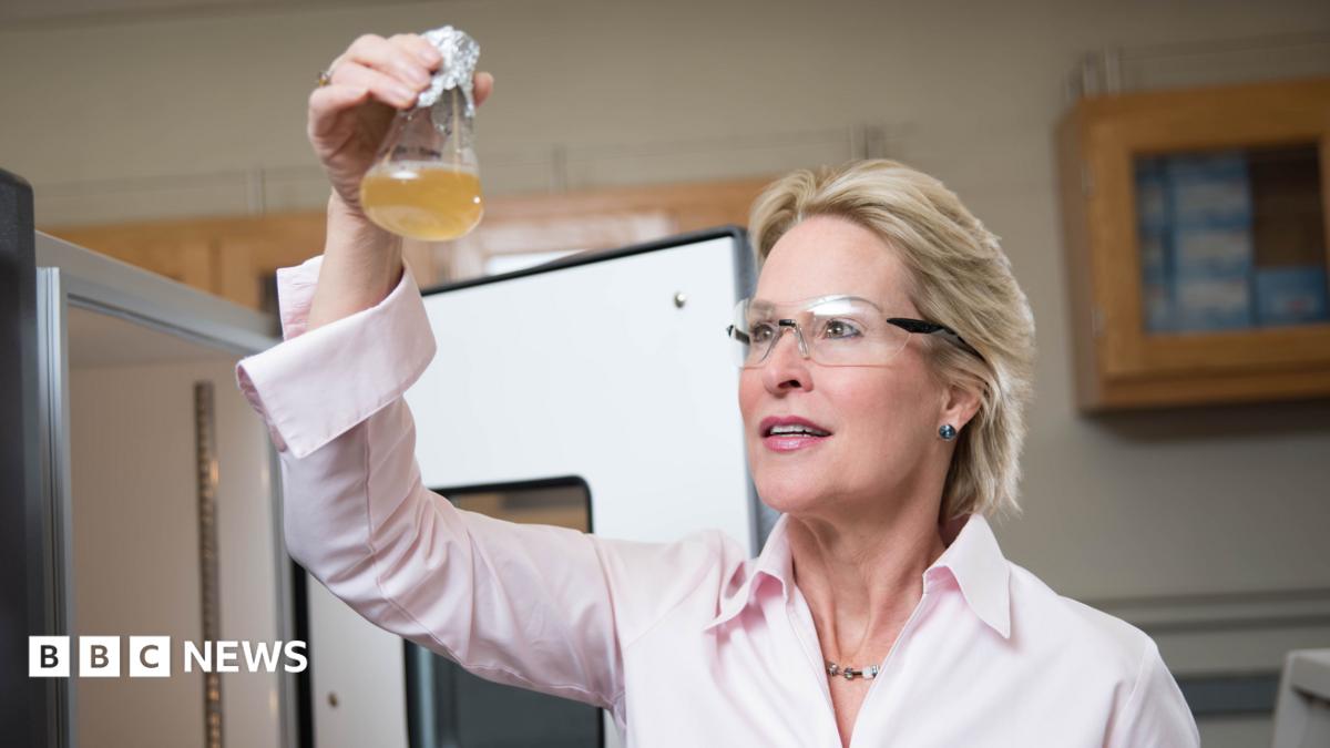 Protein research takes Chemistry Nobel - BBC News