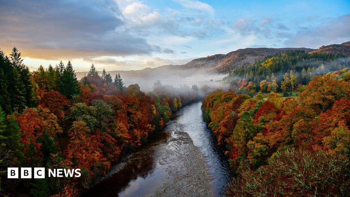 Your pictures of Scotland: Photographs from around the country - BBC News