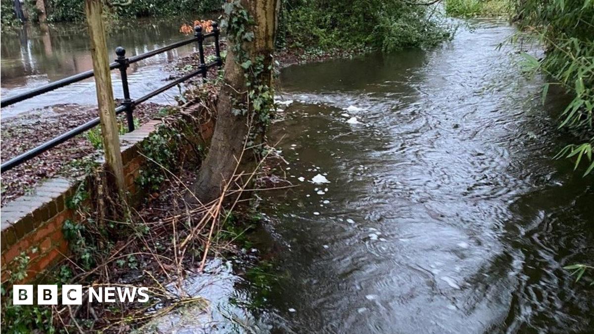 Chiltern chalk stream polluted by sewage after heavy rain - BBC News
