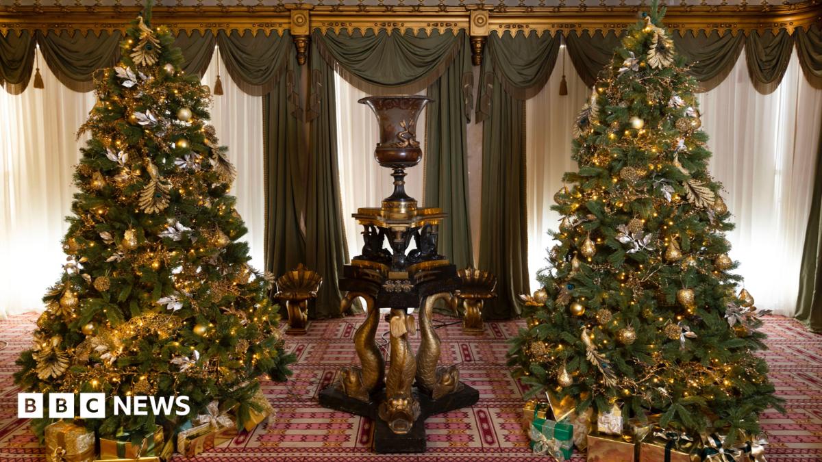 Brighton: Christmas trees 'will tell stories of the past' - BBC News