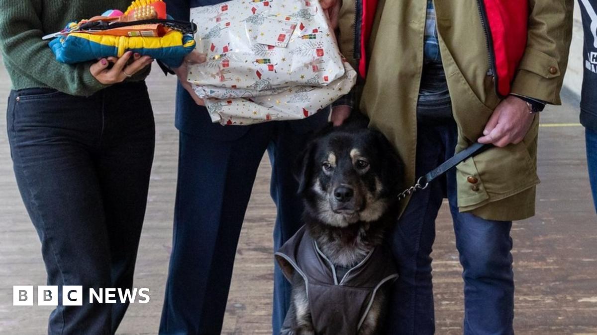 Hampers for dogs of homeless people given out - BBC News