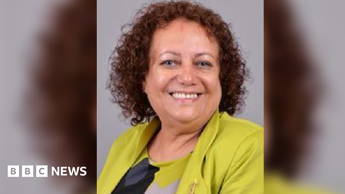 Flintshire: Council vice-chairwoman subjected to racist abuse - BBC News