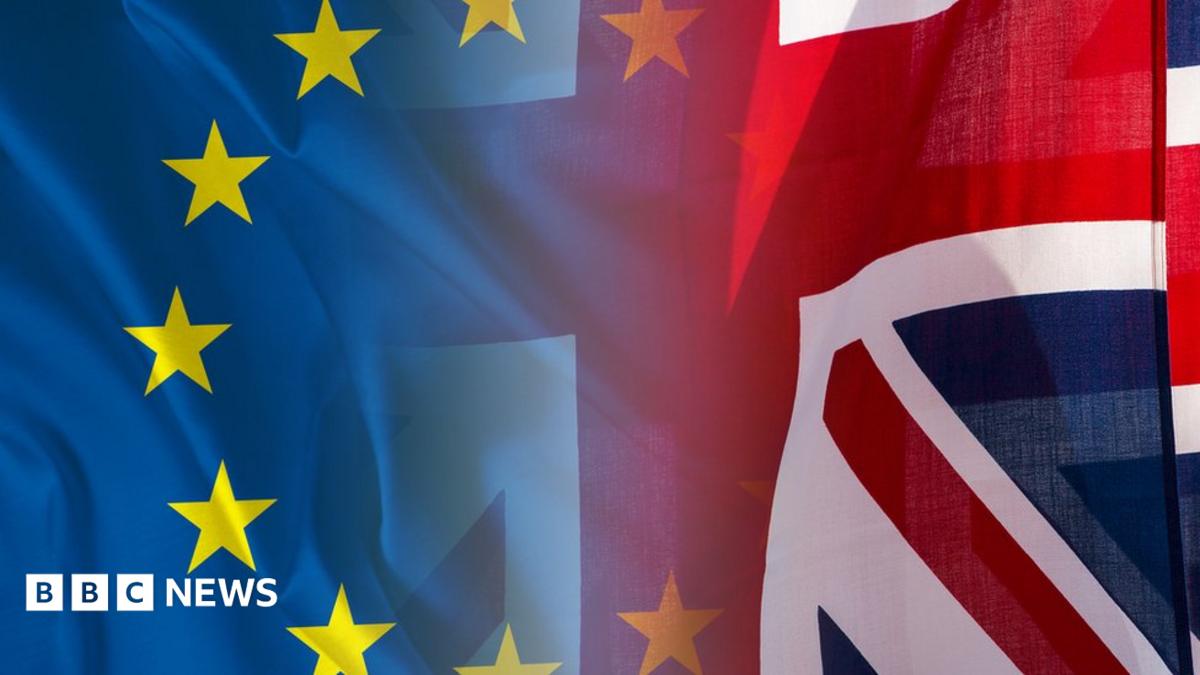 Year to go: Your questions on Brexit answered - BBC News