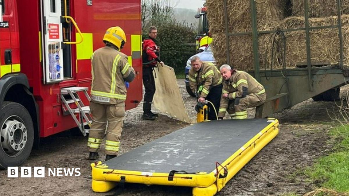Trapped cows rescued from slurry pit near Gillingham - BBC News