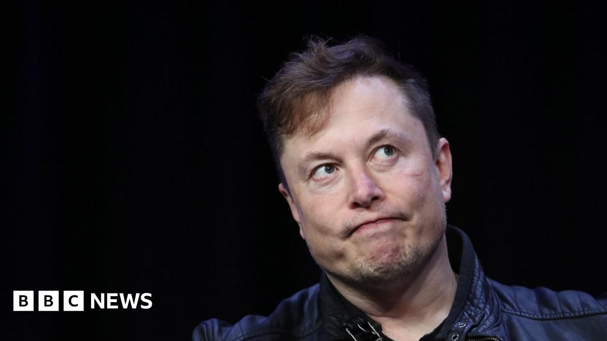 Elon Musk's drop in fortunes breaks world record - BBC News