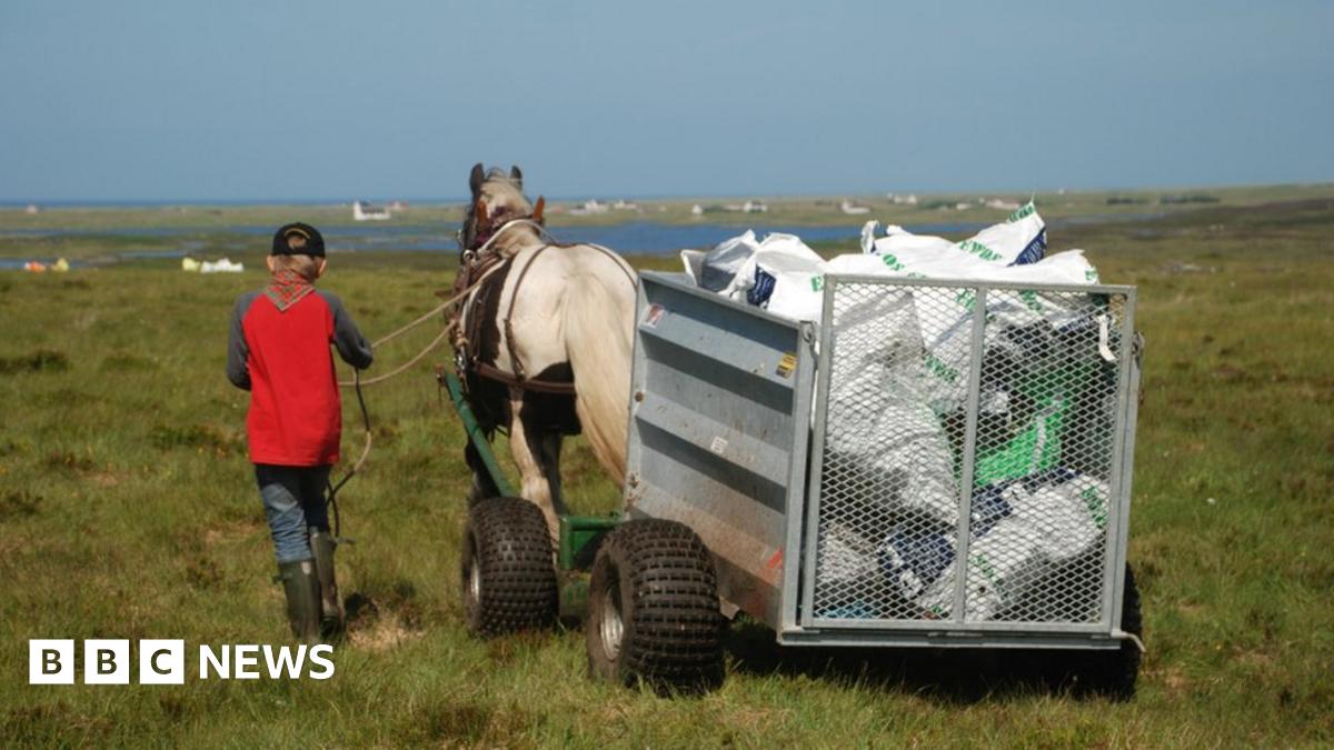 Capturing the unique rhythm of Scottish crofting life - BBC News
