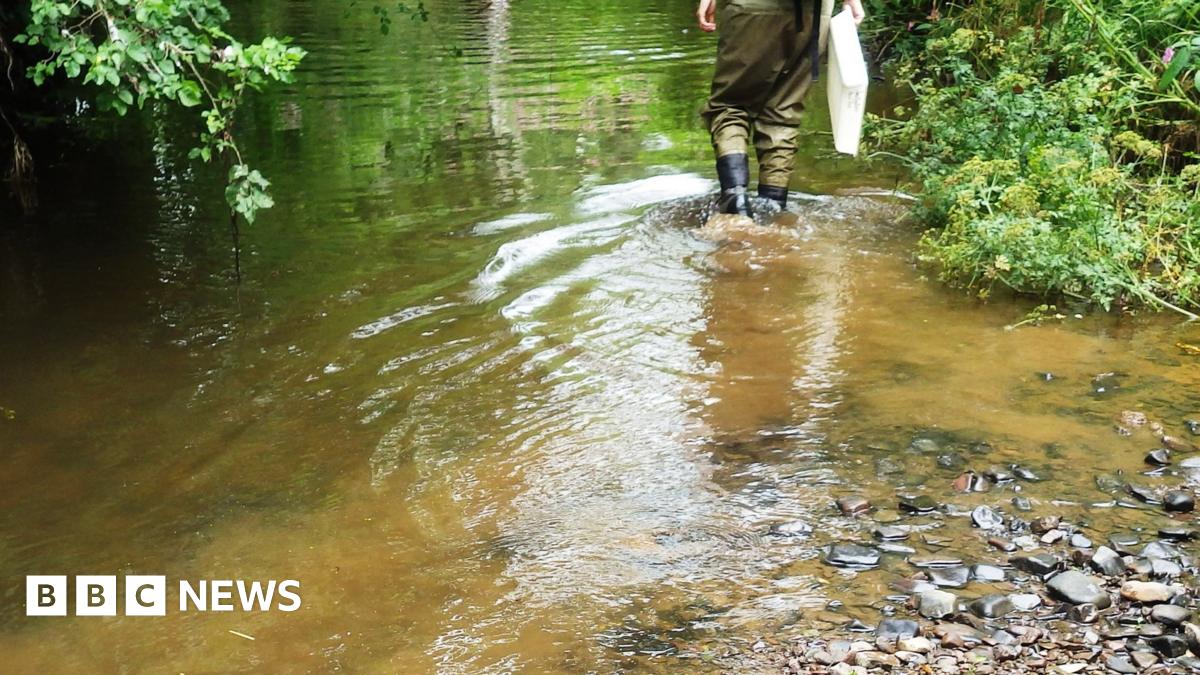 South West Water among worst in England for pollution - report - BBC News