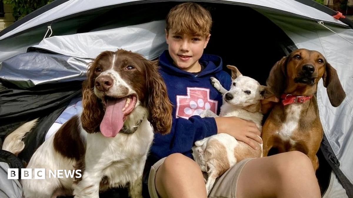 Rescue dogs: Boy raises £10k by sleeping in tent for 542 nights - BBC News