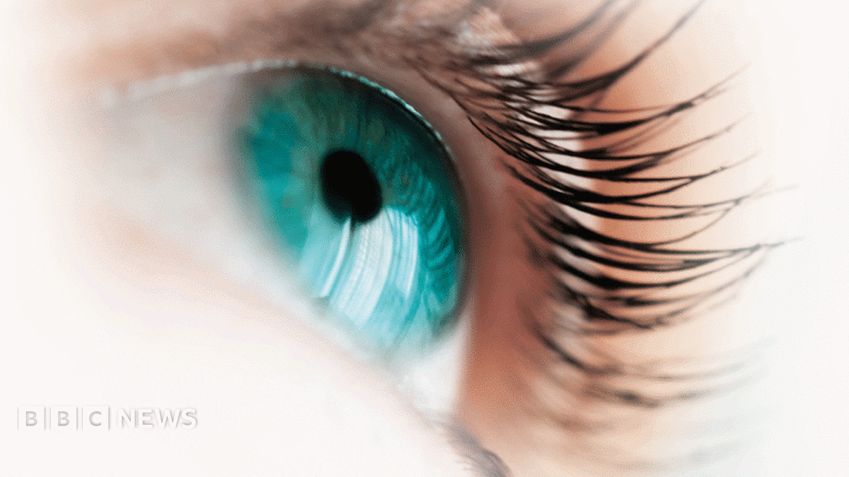 Privacy row over FBI iris scan 'trial' - BBC News