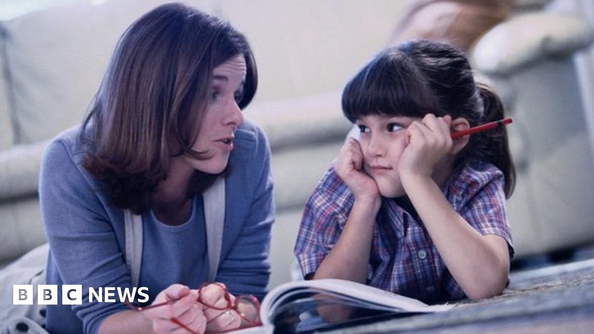Home education guidance disappointing, says commissioner - BBC News