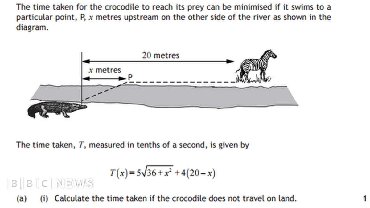 Crocodile maths question 'was challenging' - BBC News