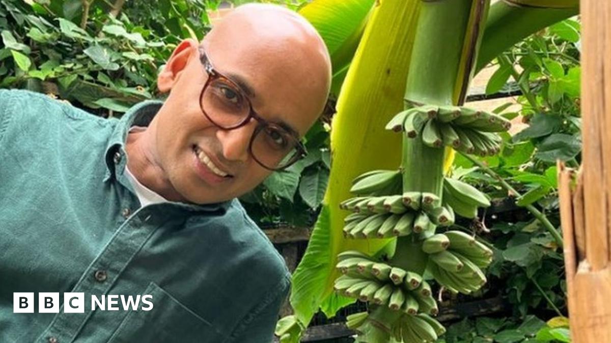 Hackney gardener's banana plant finally fruits 10 years later - BBC News