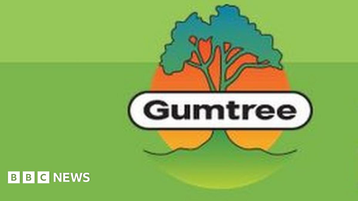 South African Gumtree 'baby sale' mother pleads guilty - BBC News