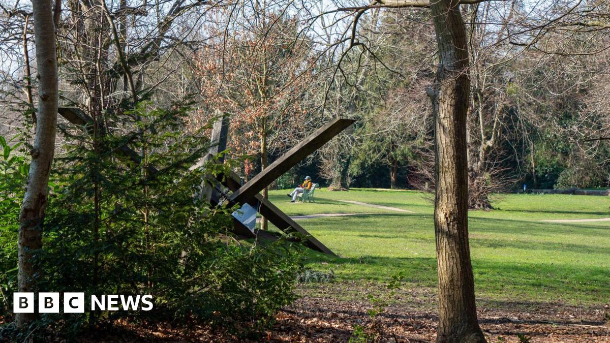 Bracknell council to enhance 'forest' identity to boost arts - BBC News