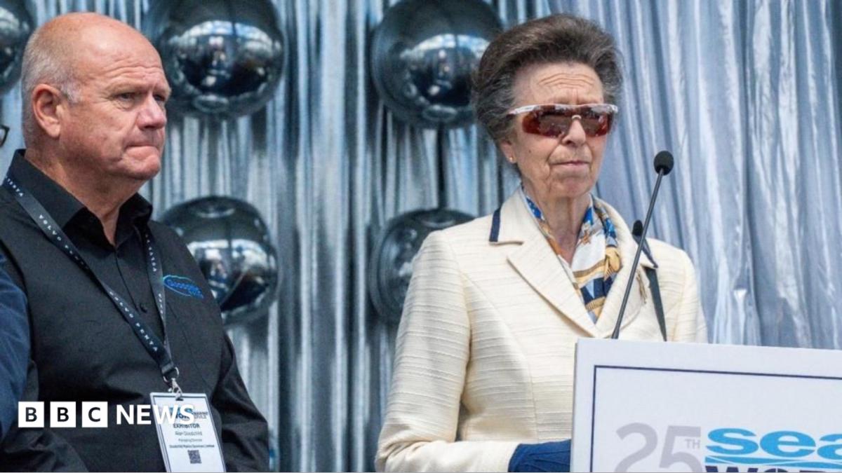 Princess Royal shown around Norfolk boat at Seawork show - BBC News