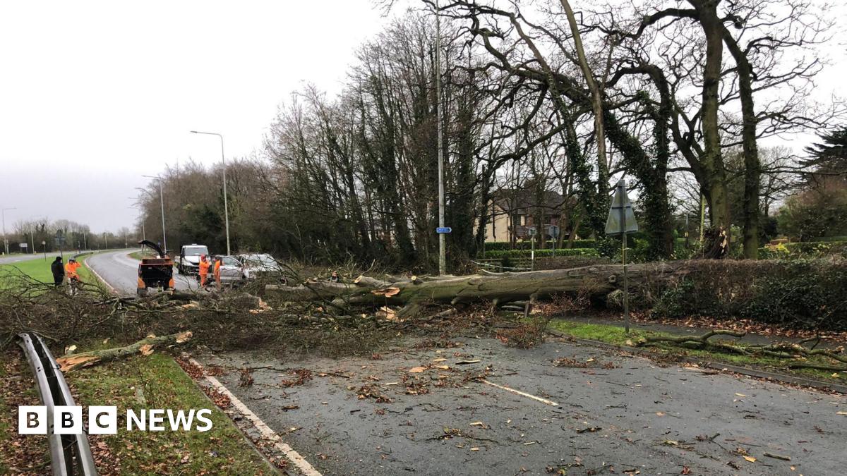 Man dies in Longton as tree falls on van during Storm Darragh - BBC News