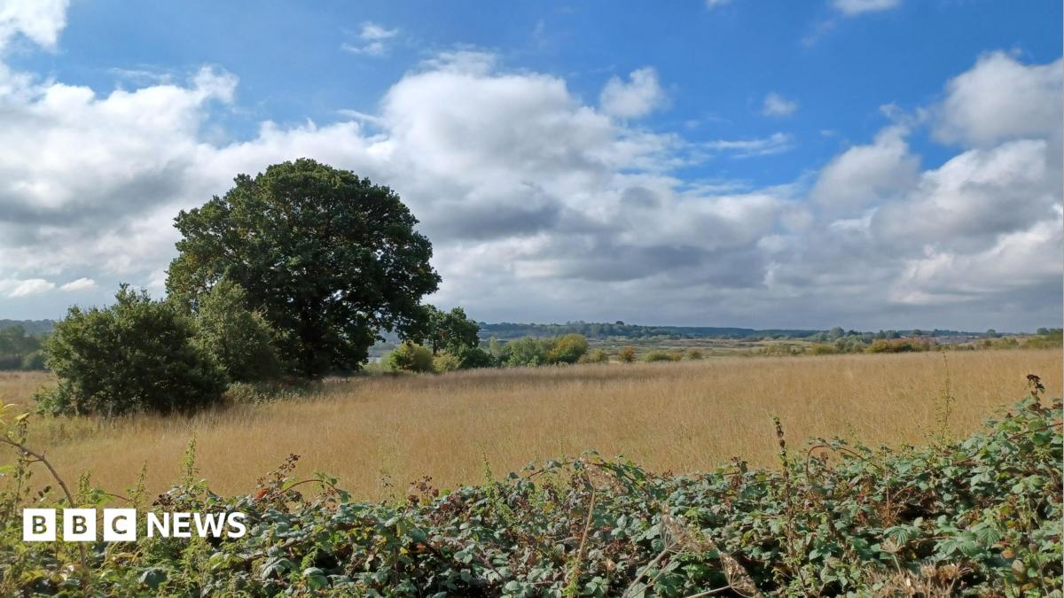 Newhall: Homes on former colliery set to be approved after two years ...