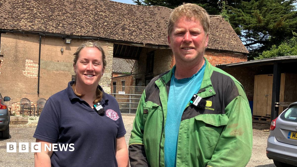 The vending machine and robots helping farm in Harbury survive - BBC News