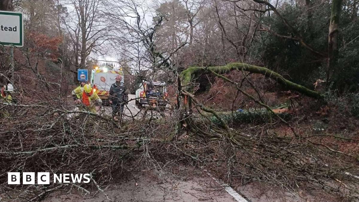 Damage and disruption as Storm Darragh hits South - BBC News
