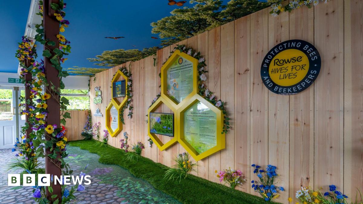 Rowse Honey Bee Hive opens at Blenheim Palace - BBC News