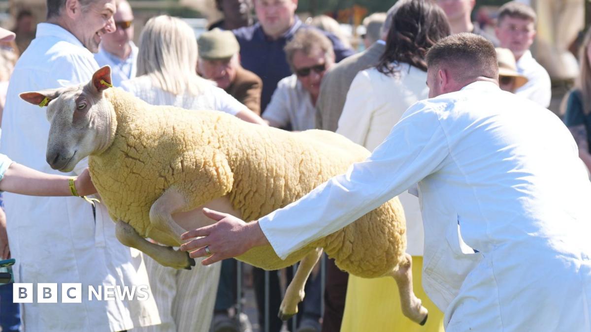 Balmoral Show 2025: Tickets, when, where and how to get there - BBC News